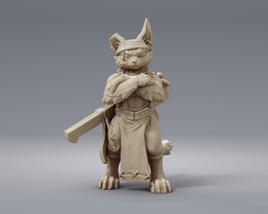 Tabaxi Dwarf Fighter - Resin Miniature - Dnd Miniatures - Dungeons ...