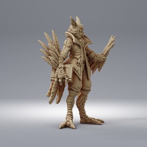 Owlkin Scholar - 32mm Resin Miniature Dnd Miniatures Dungeons & Dragons ...