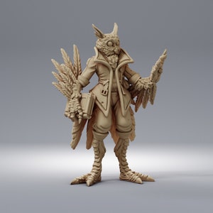 Owlkin Scholar - 32mm Resin Miniature Dnd Miniatures Dungeons & Dragons ...