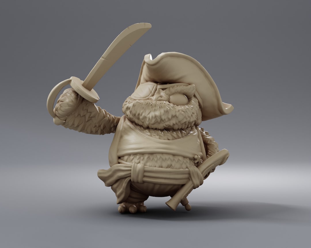 Owlkin Pirate Resin Miniature Dnd Miniatures Dungeons & Dragons ...