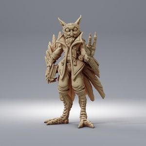 Owlkin Scholar - 32mm Resin Miniature Dnd Miniatures Dungeons & Dragons ...