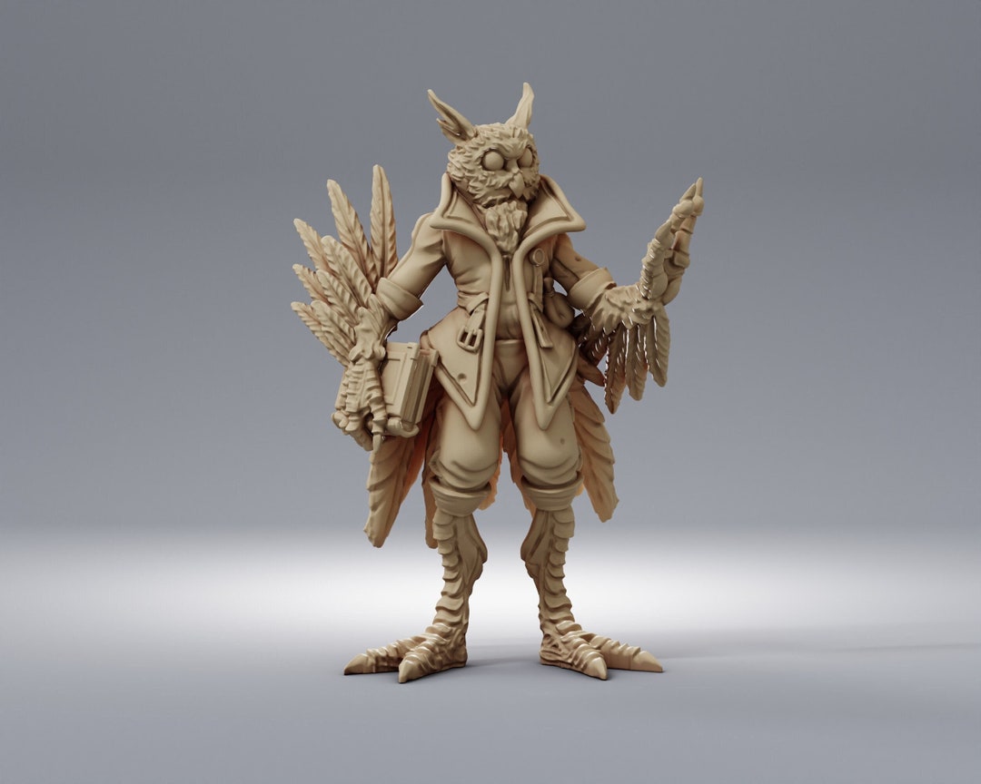 Owlkin Scholar - 32mm Resin Miniature Dnd Miniatures Dungeons & Dragons ...