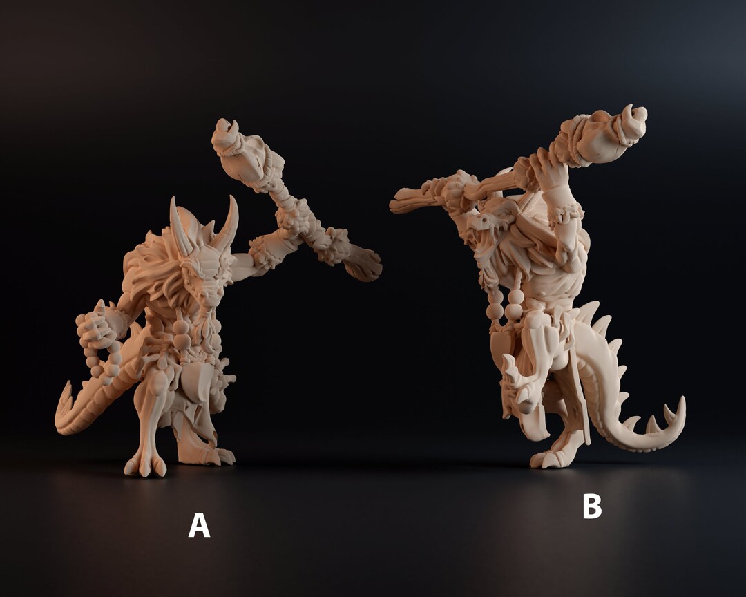 Shaman - Dragonborn - 32mm Resin Miniature - Dnd Miniatures - Dungeons ...