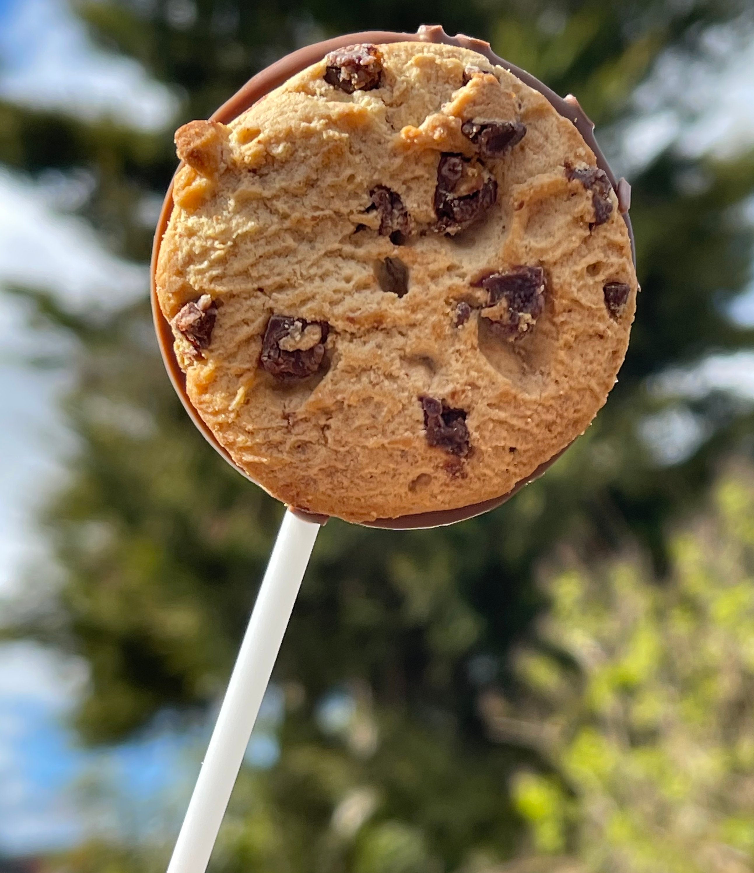 The Dunkers Milk Chocolate - Etsy UK