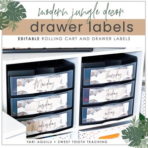 Jungle Theme Drawer Labels | Printable Classroom Decor| Teacher Drawer ...