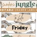 Binder Covers & Spines Printable Classroom Decor Jungle Theme Teacher ...