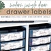 Jungle Theme Drawer Labels | Printable Classroom Decor| Teacher Drawer ...
