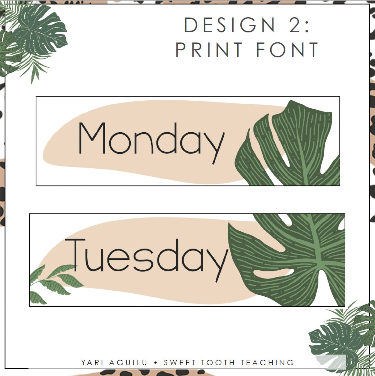 Jungle Theme Drawer Labels Printable Classroom Decor - Etsy