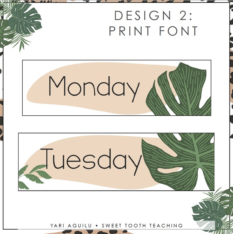 Jungle Theme Drawer Labels Printable Classroom Decor - Etsy