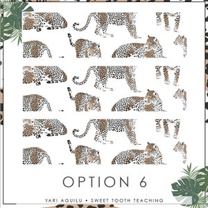 Jungle Themed Bulletin Board Borders With Cheetahs, Tigers, Tropical ...