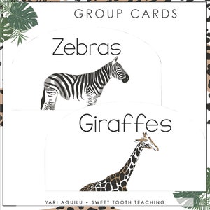 Classroom Centers Rotation Chart | Printable Jungle Classroom Decor - Etsy