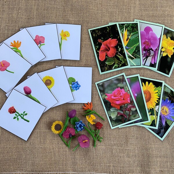 Montessori Flowers - Etsy