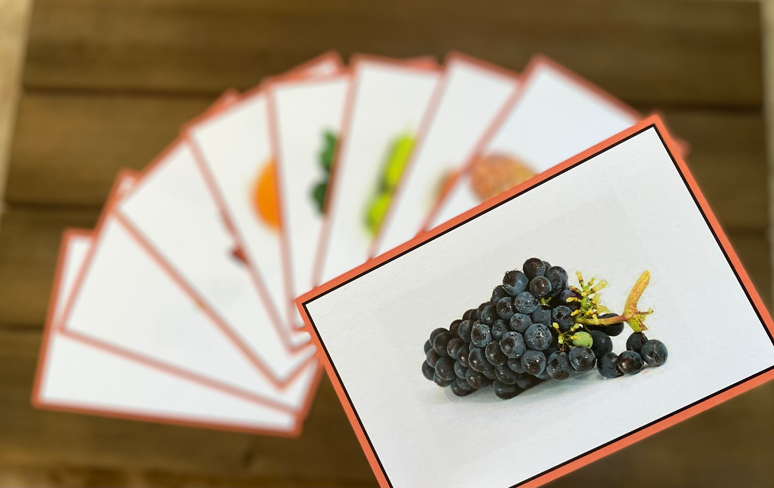 PDF Montessori Language Cards Fruits Isolated Printable - Etsy