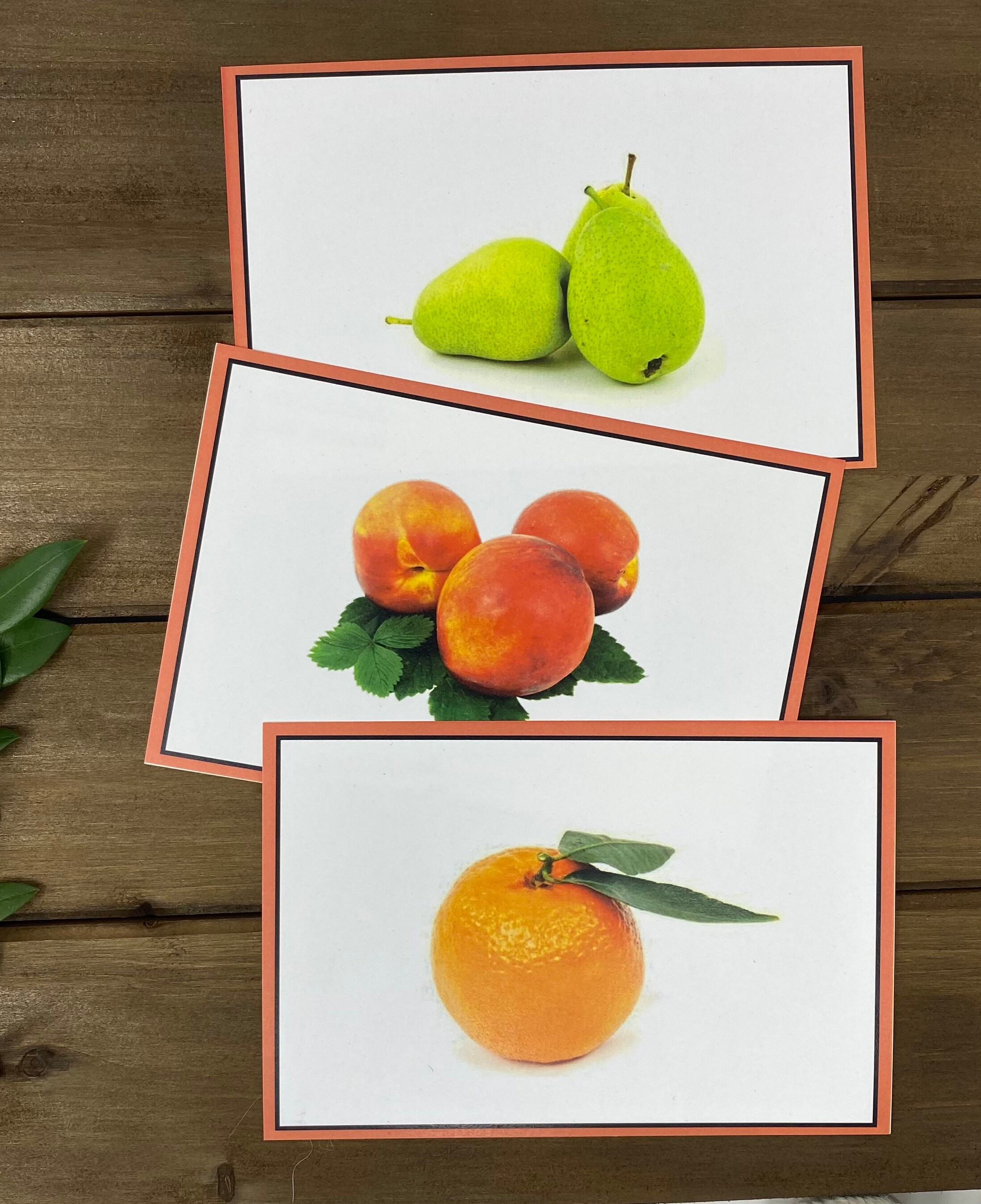 PDF Montessori Language Cards Fruits Isolated Printable - Etsy
