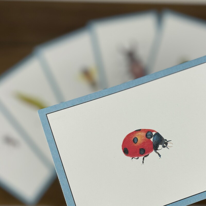 Montessori Language - Etsy