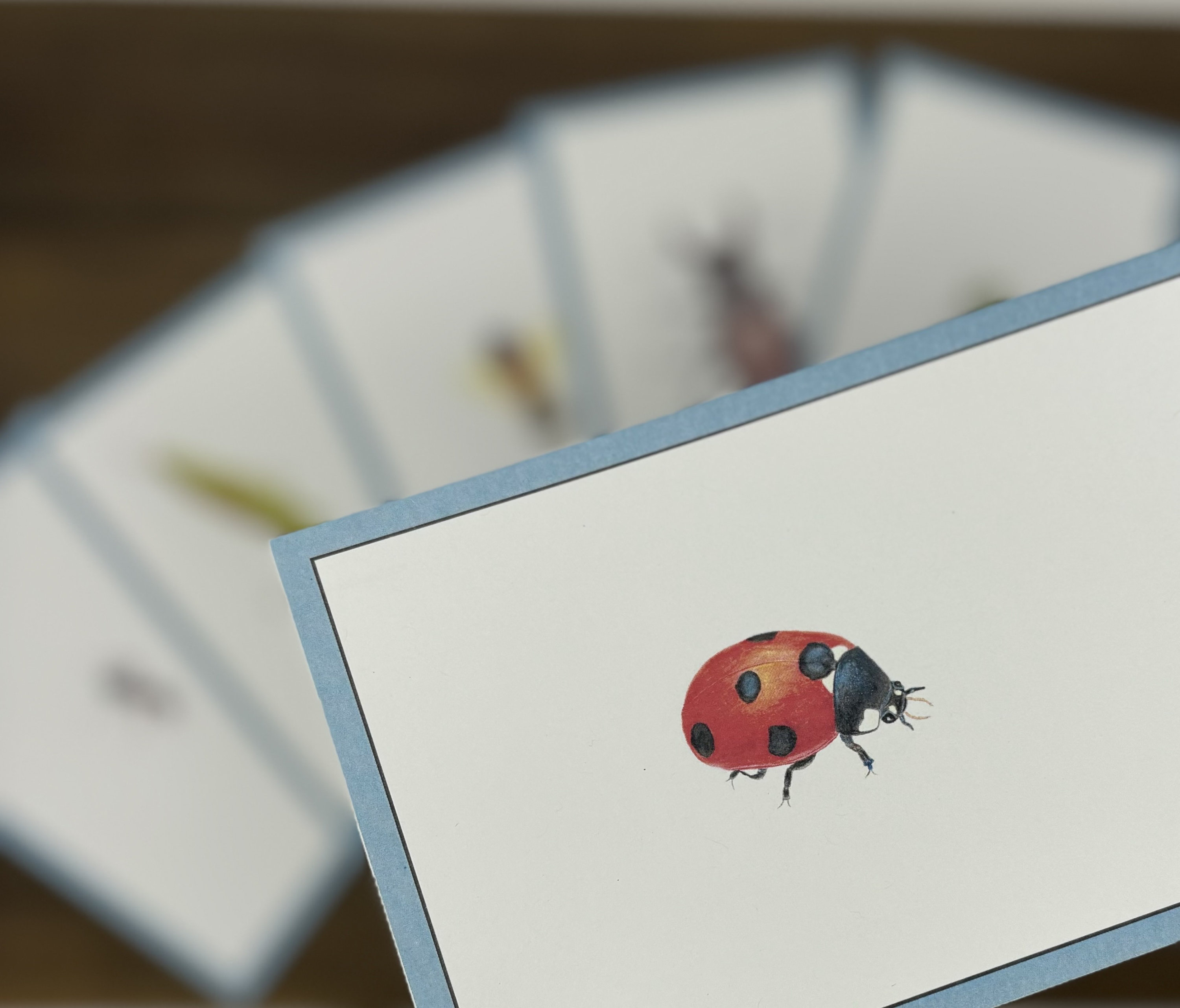 Insects Montessori Language Cards - Etsy