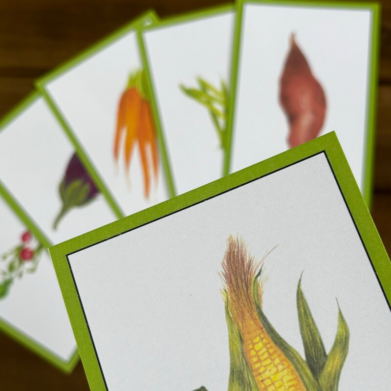 Montessori Language - Etsy