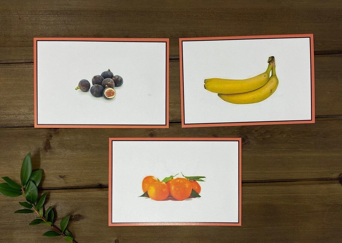 PDF Montessori Language Cards Fruits Isolated Printable - Etsy