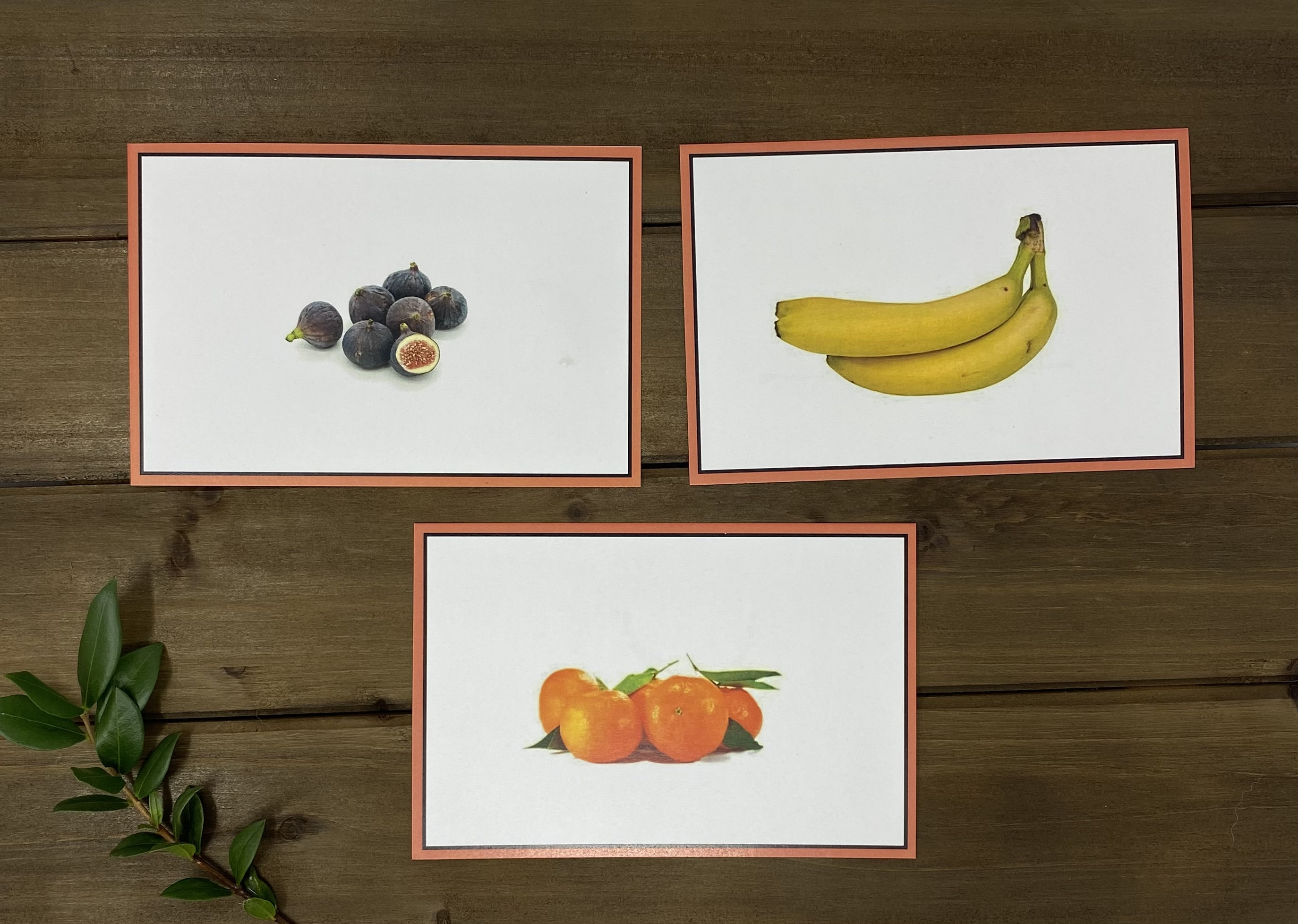 PDF Montessori Language Cards Fruits Isolated Printable - Etsy