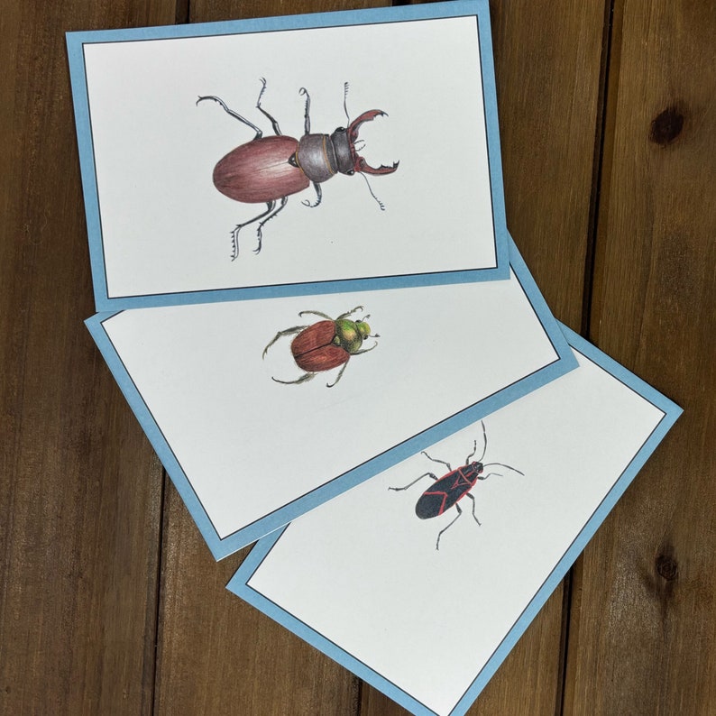Insects Montessori Language Cards - Etsy