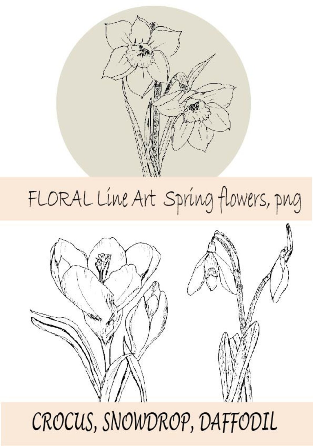 Spring Flowers Line Arts, Ink Hand-drawn - Floral Line Art, Botanical ...