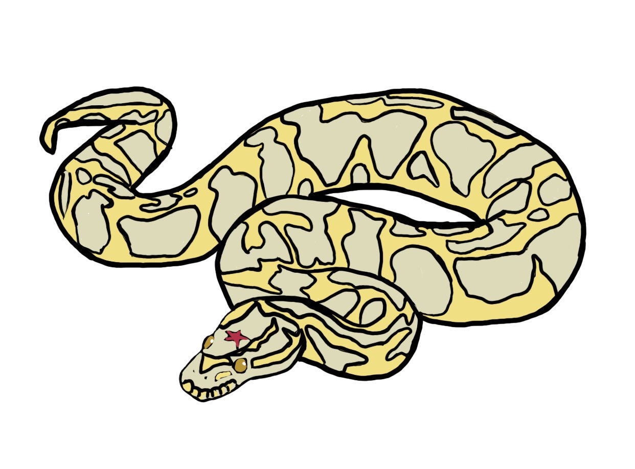 Snake Sticker Vinyl Waterproof | Etsy