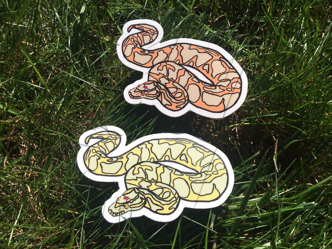 Snake Sticker- Vinyl Waterproof - Etsy