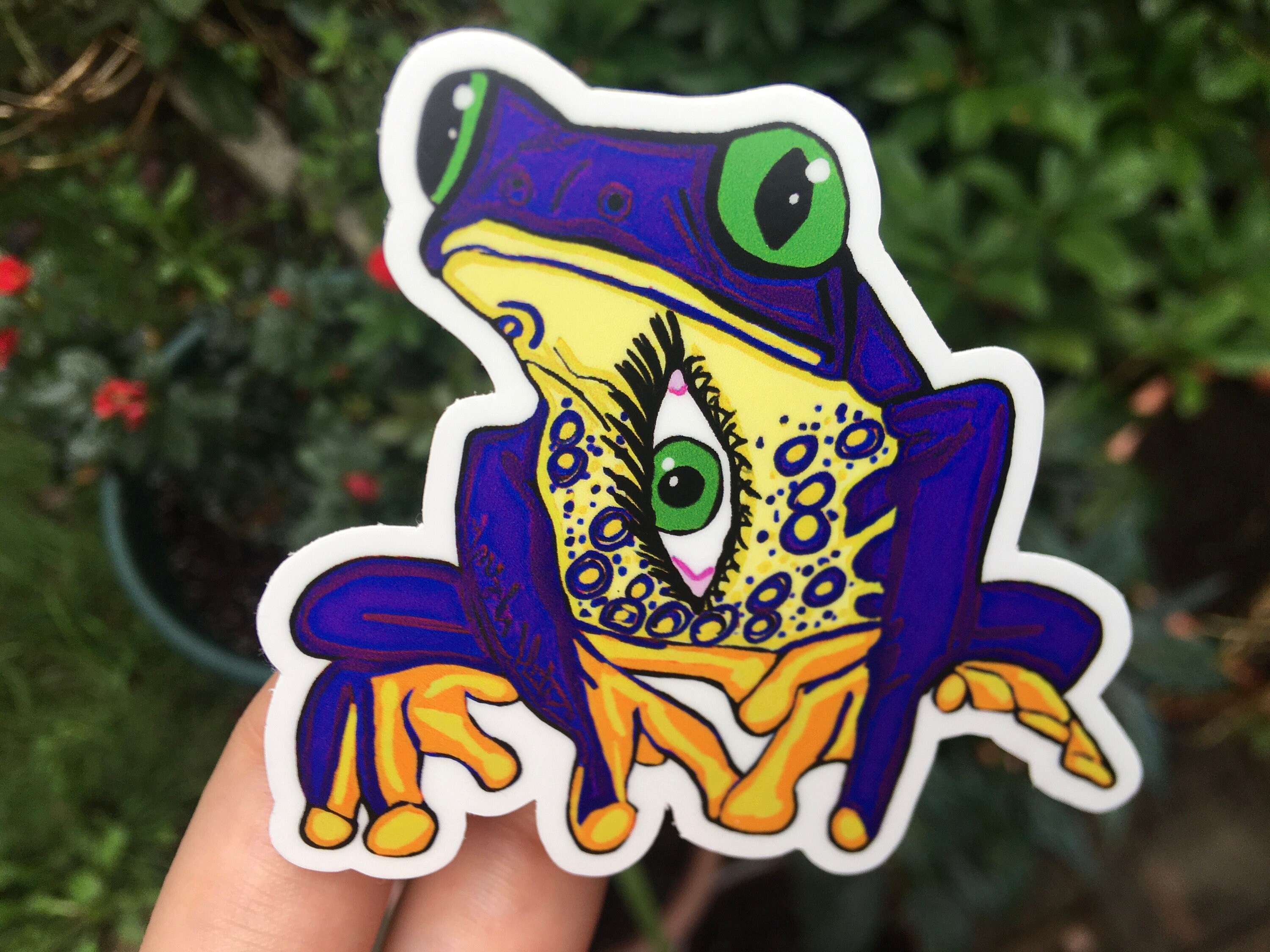 Hypno Frog: Waterproof Vinyl Frog Sticker - Etsy