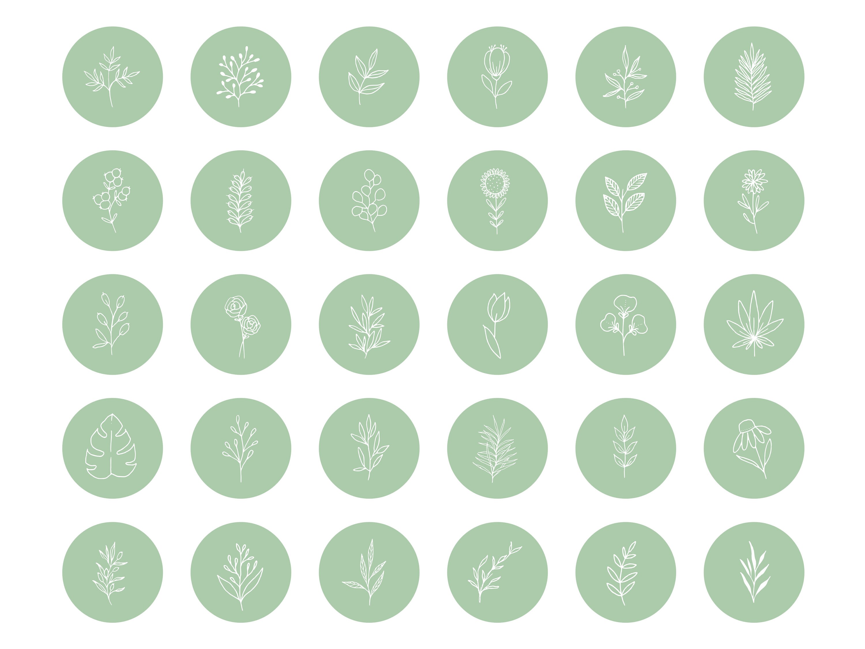 Botanical Instagram Highlight Covers Mint, Green, Floral, Flowers ...