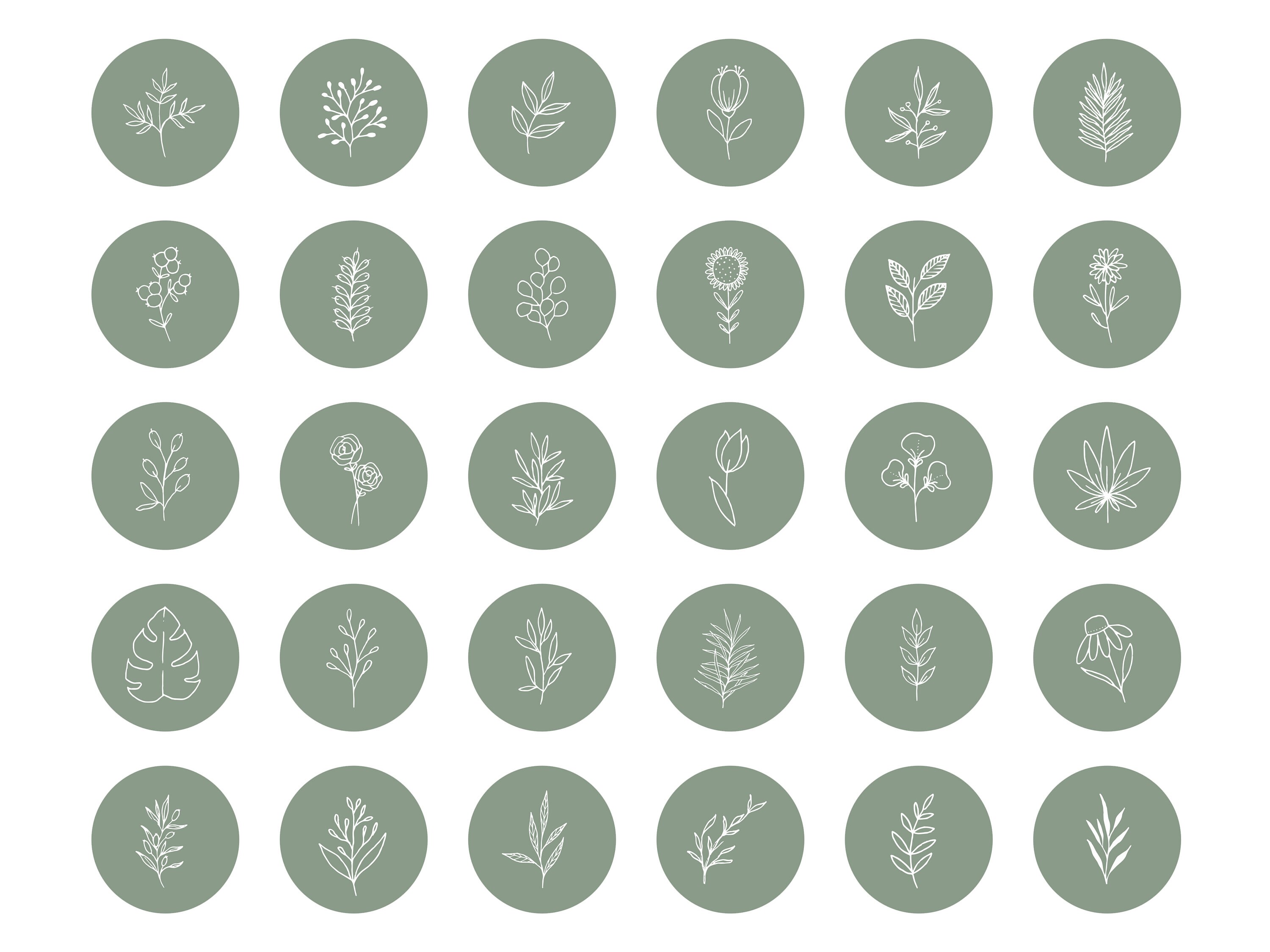 Botanical Instagram Highlight Covers Sage, Green, Floral, Flowers ...