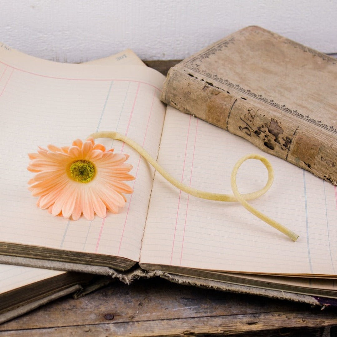 Real Touch Cream Gerber Daisy Stem, Spring Floral Decor, Lifelike ...