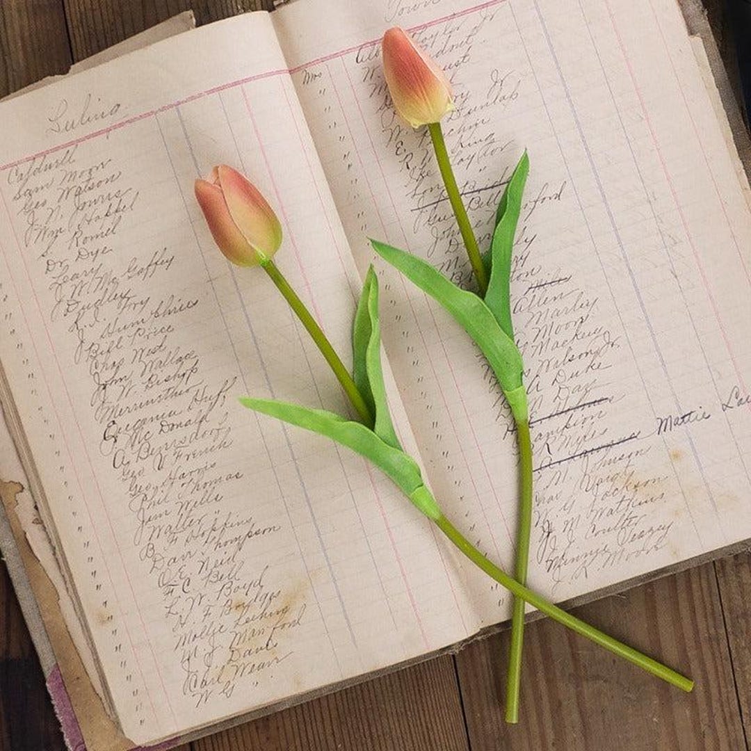 Small Coral Tulip Stem Set (2A) - Etsy
