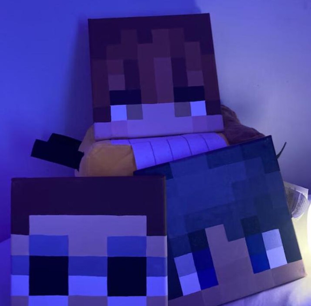 Custom Minecraft Skin Face Painting - Etsy