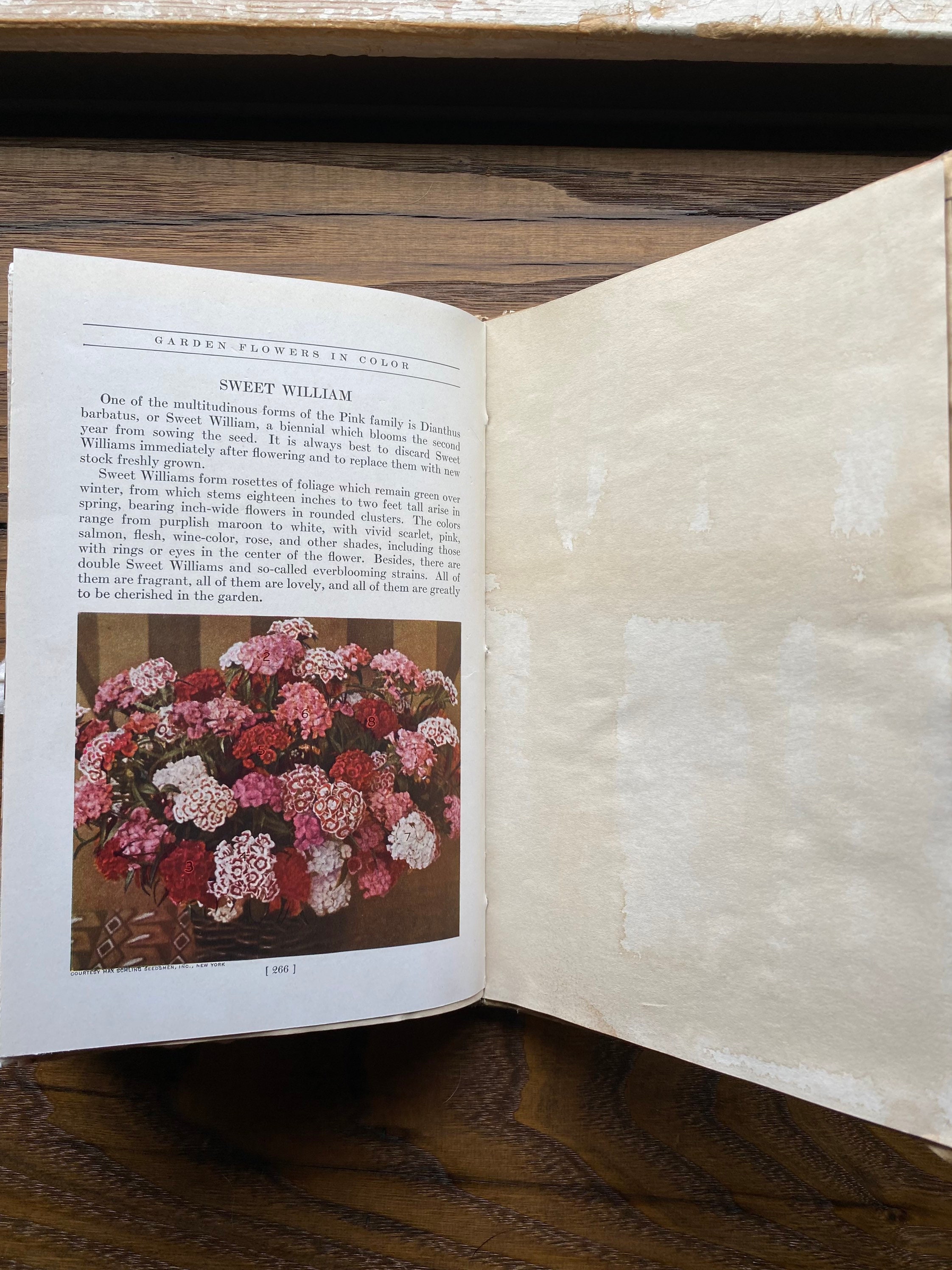 Advance Sewing Pattern Softcover Journal - Etsy