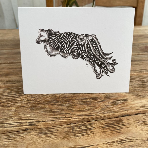 Cuttlefish - Etsy