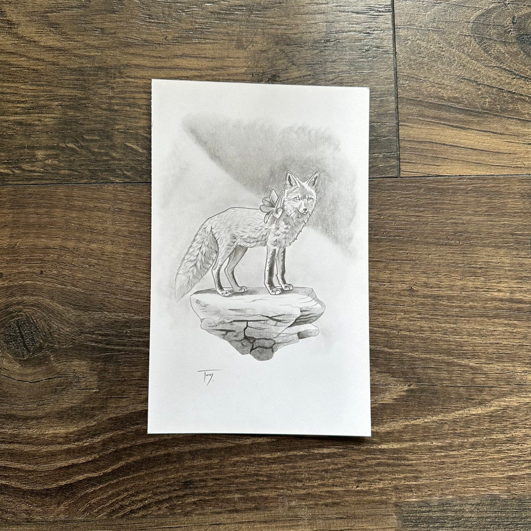 Original Pencil Sketch Charcoal Fox Feral Animal Study Black and White ...