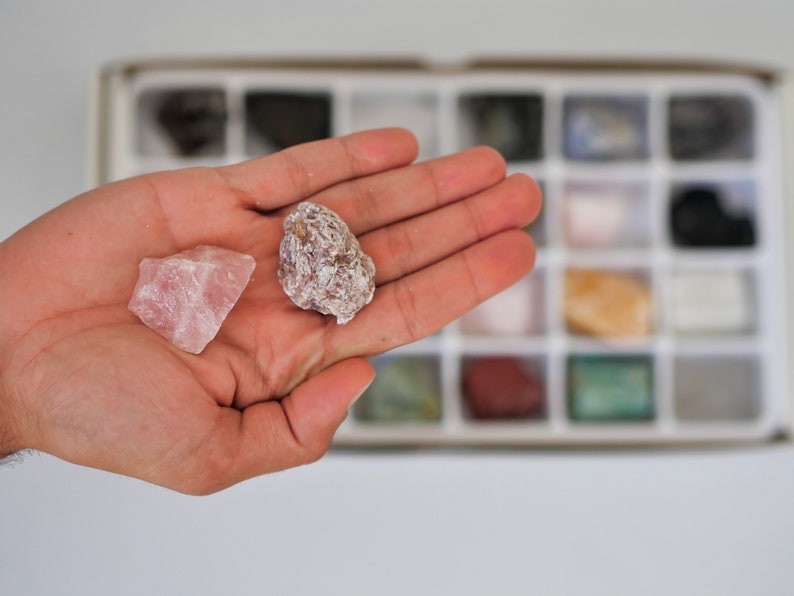 Crystal Collection Box Mineral Collection Box Natural - Etsy