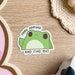 Frog Around and Find Out Sticker | Funny Sticker | Kawaii Frog | Matte ...