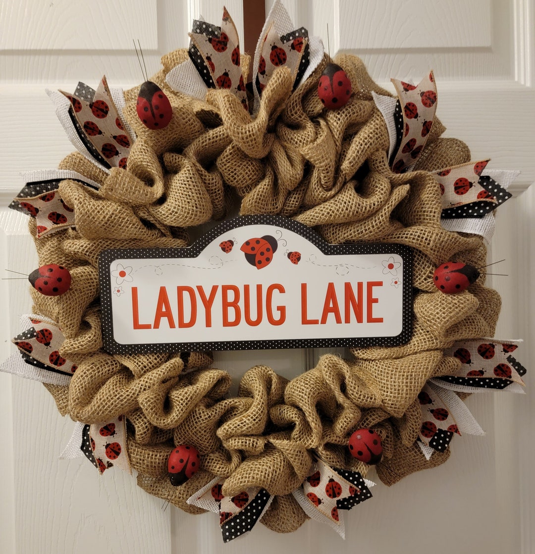 Ladybug Lane - Etsy