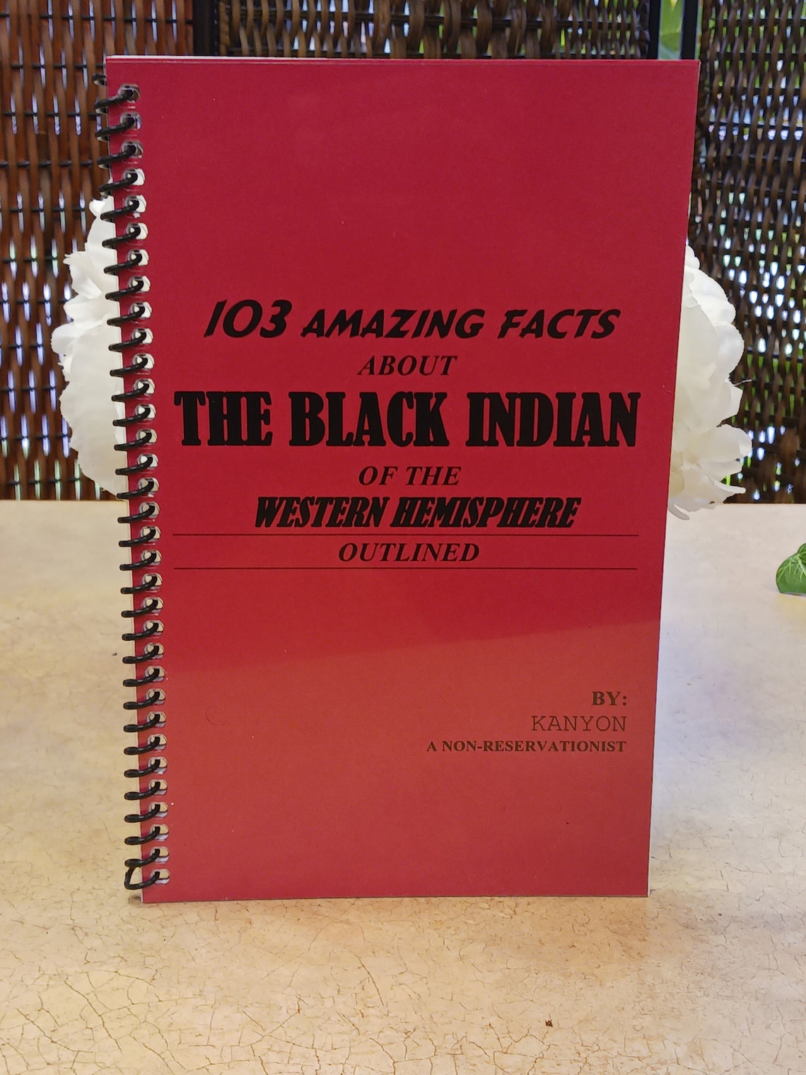 103 Amazing Facts About the Black Indian of the Western Hemisphere ...