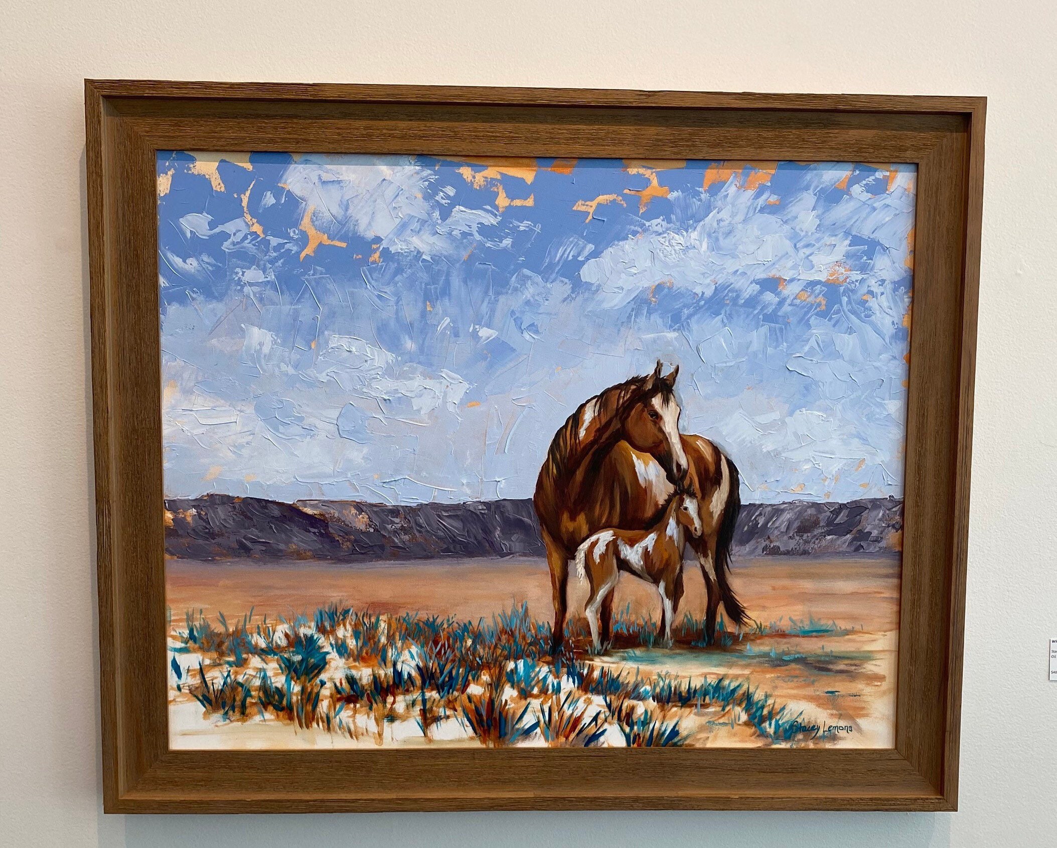 Wild Mustangs of the Sand Wash Basin Original Oil Painting 30x24 in a ...