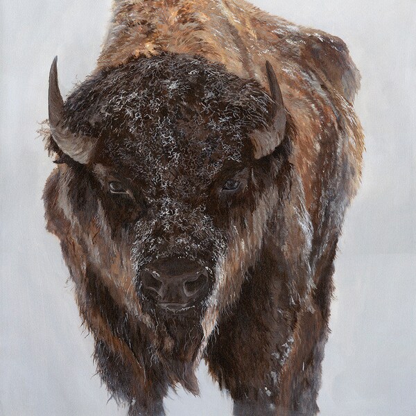 Bison Painting - Etsy