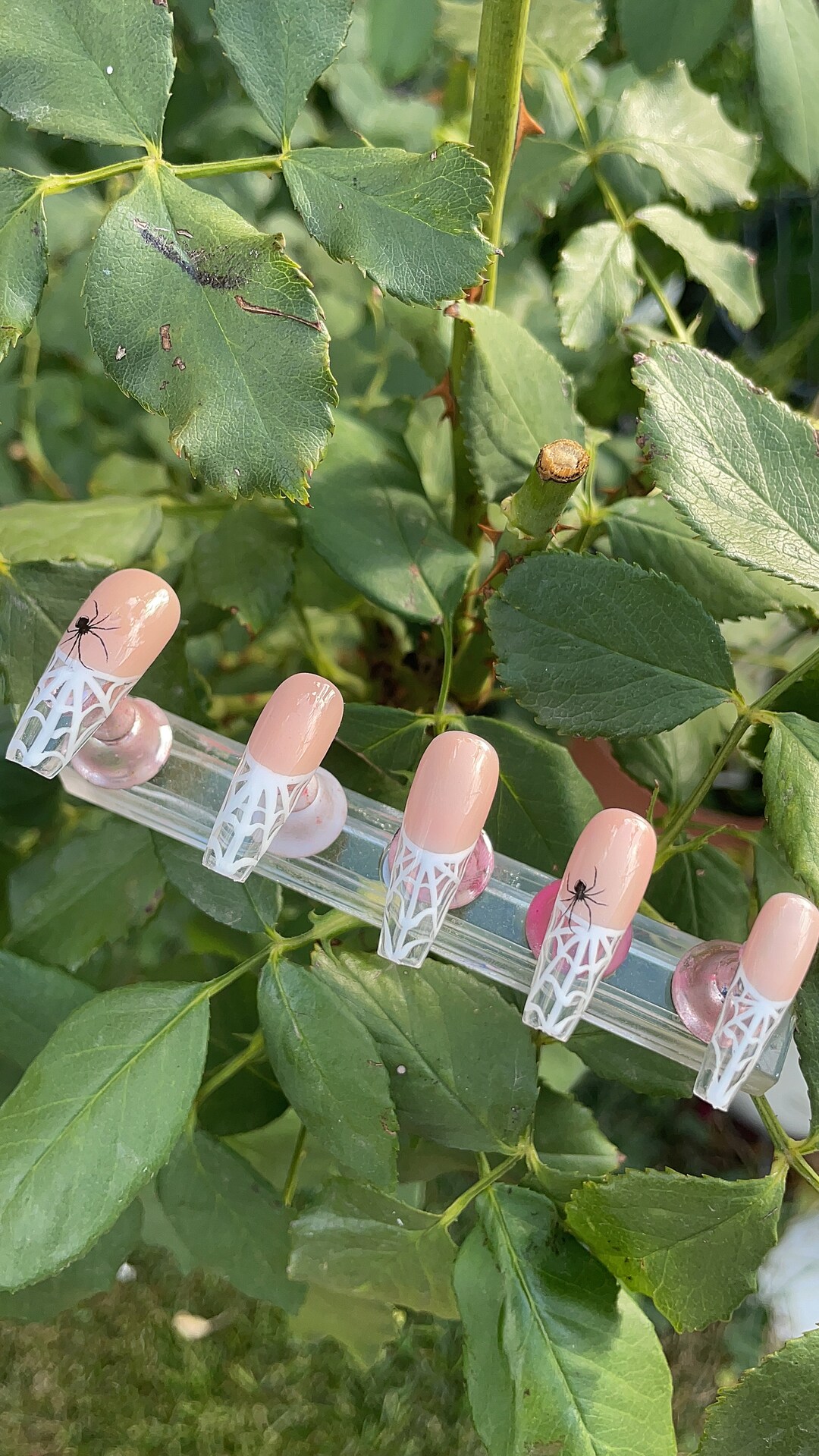 French Tip Spider Web Press on Nails - Etsy