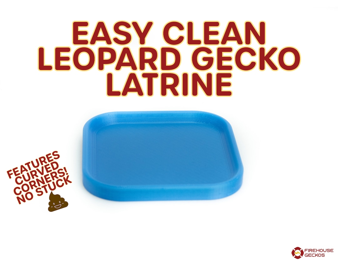 Easy Clean Leopard Gecko Latrine - Etsy