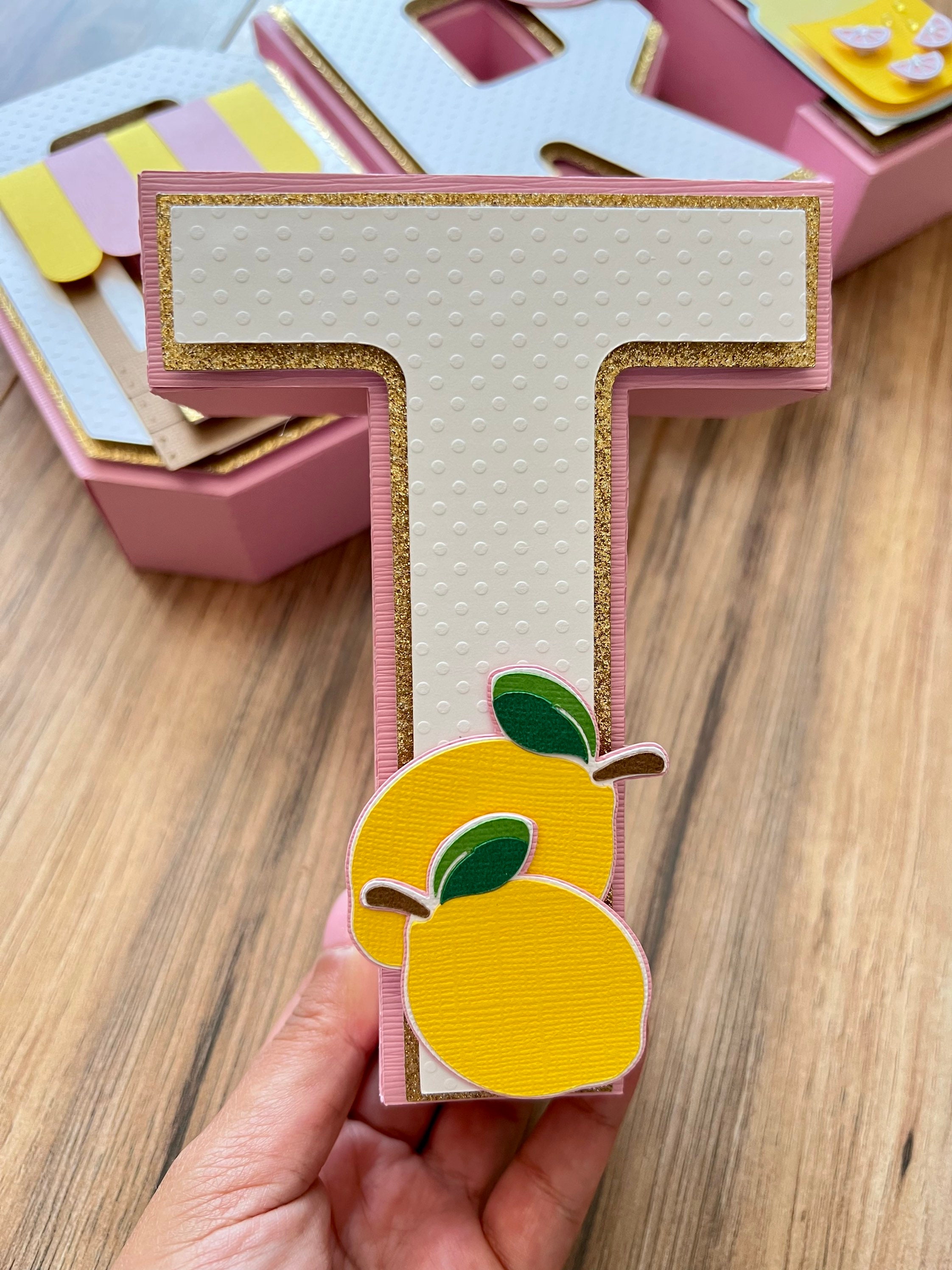 Pink Lemonade 3D Letters / Pink Lemonade Party Decorations / - Etsy