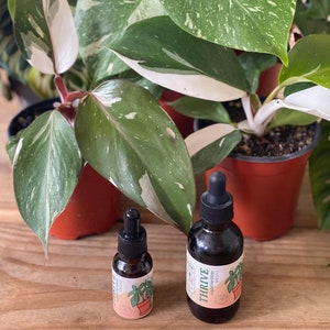 Thrive Liquid Rapid Growth Indoor and Outdoor Plant Food (60ml/15ml/8oz ...