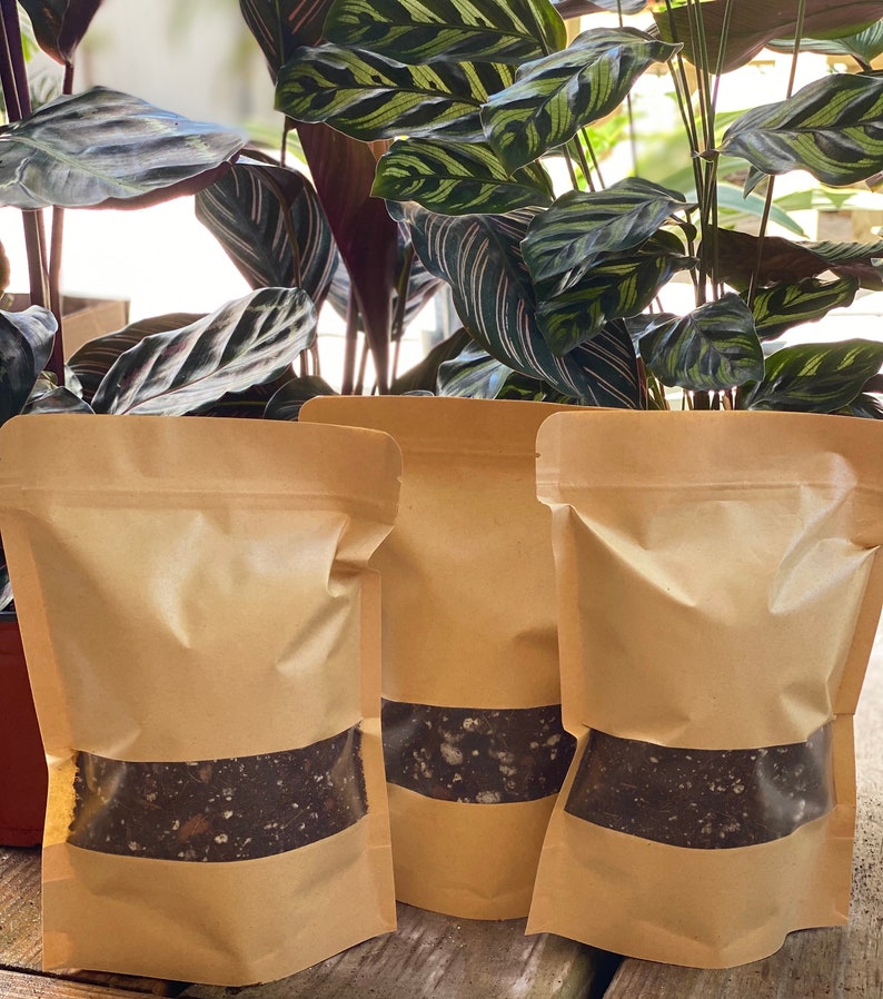 Sol Mix Tropical Aroid Mix With LECA Soilless Grow Medium - Etsy