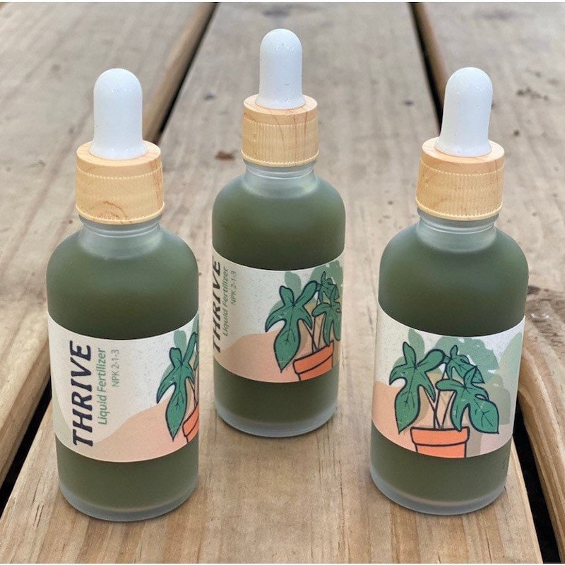 Fertilizer Pot Plants - Etsy