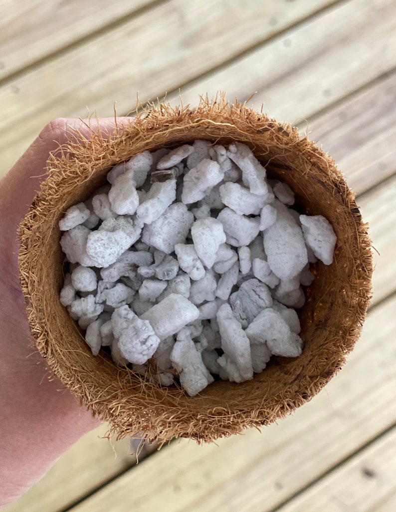 Coarse and Chunky Perlite 100% Natural Growing Media - Neutral Ph 7.0 ...