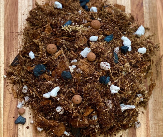 Sol Mix Hybrid for Delicate Roots Tropical Aroid Mix With - Etsy